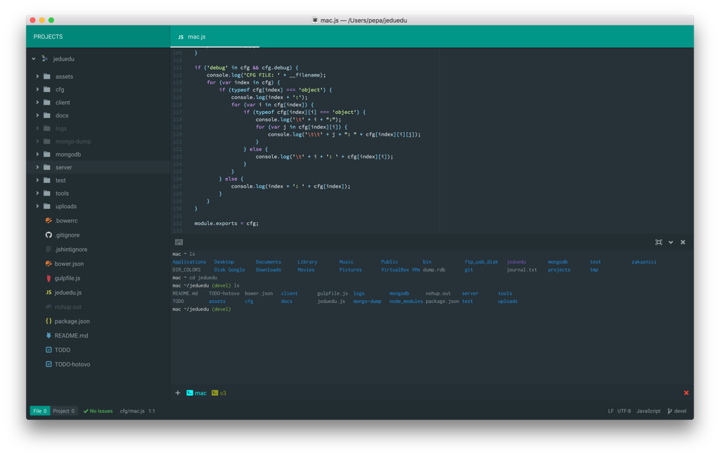 Atom a terminál – pepa.holla.cz